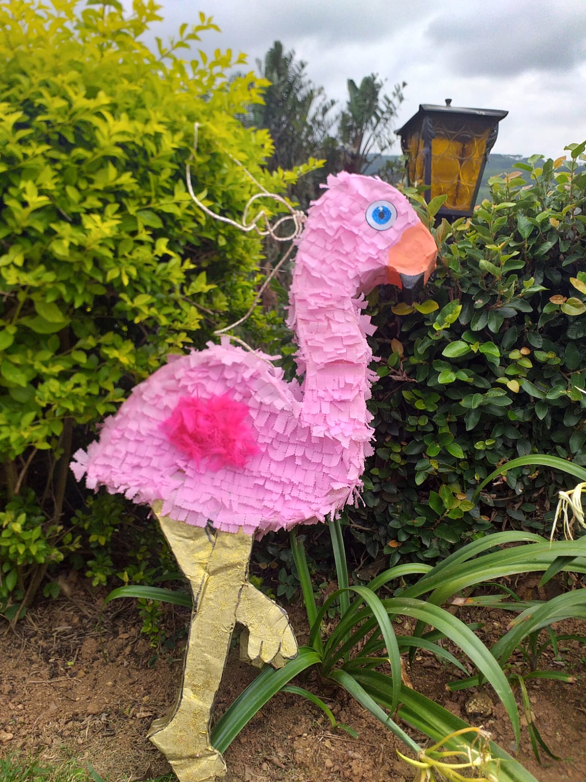 Animal Pinatas | Pietermaritzburg | Character Pinatas